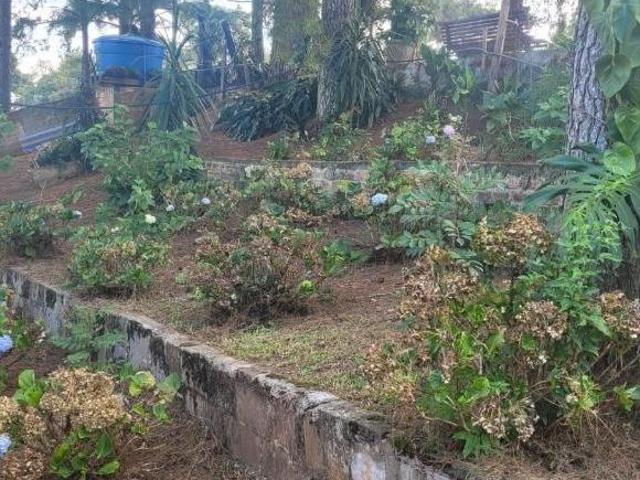 Chácara LINDA com 3 casas a venda 9.000m2, PARMUTA POR ARAUCÁRIA em Contenda PR