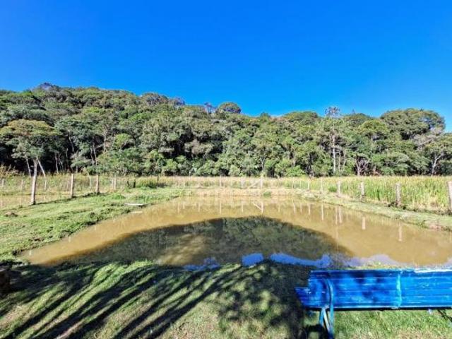 Chacara, Palmeirinhas, Juquitiba, SP
