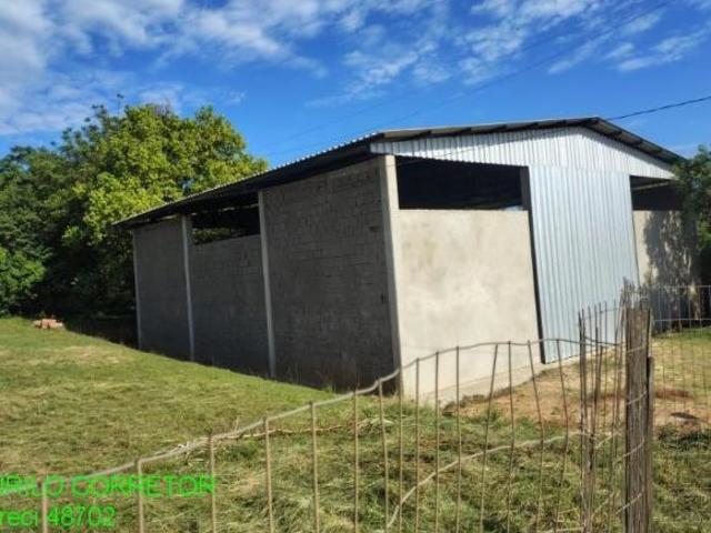 Chacara, Passo da Amora, Montenegro, RS
