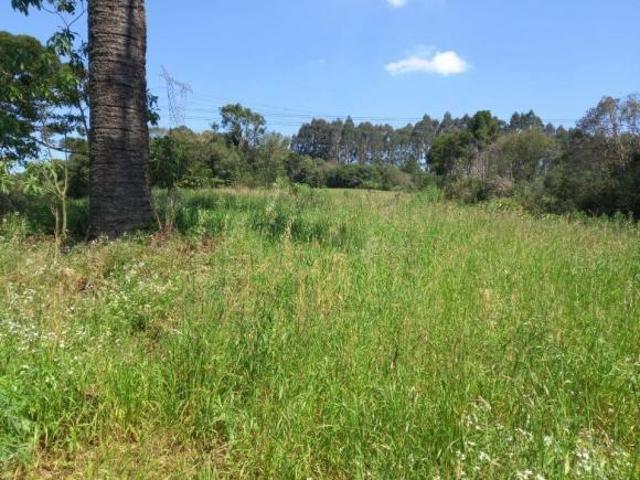 Chácara para formar à venda,40000.00 m, reboucas, CAMPO LARGO PR