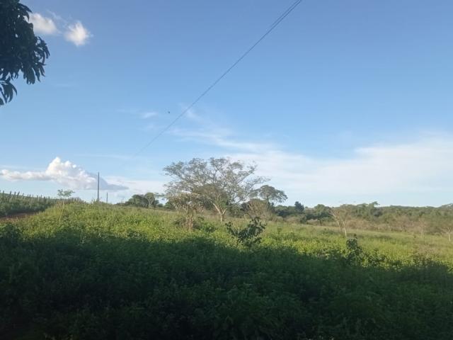 Chácara para Reserva Venda Leopoldo de Bulhões GO Zona Rural