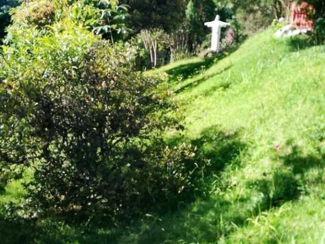 Chácara para venda e aluguel em Centro, Piedade