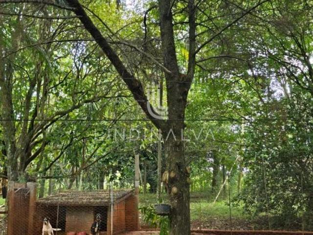Chácara para venda em Cognópolis, Foz do Iguaçu