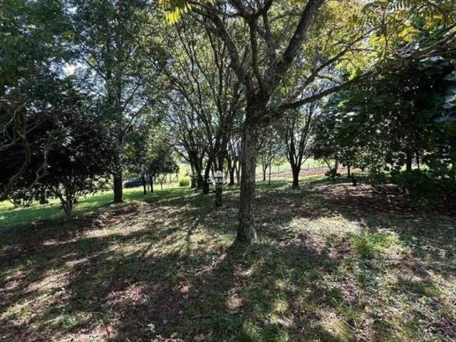 Chácara para venda em Colinas