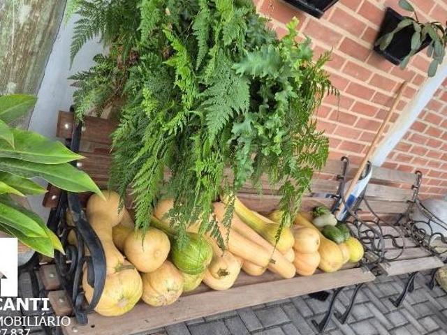 Chácara para venda em Colonia Marcelino, São José dos Pinhai