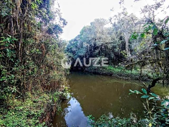 Chácara para venda em Colônia Murici, São José dos Pinhais