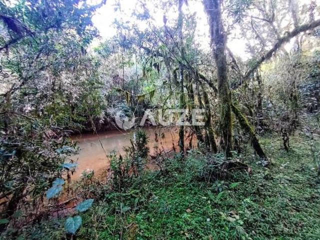 Chácara para venda em Colônia Murici, São José dos Pinhais