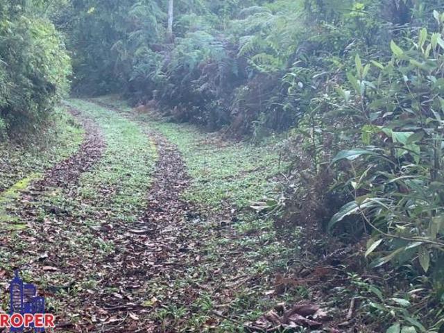 Chácara para venda em Congonhal, Embu Guaçu