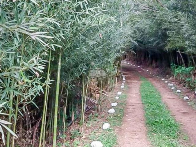 Chácara para venda em Contenda de 100.00m² com 4 Quartos, 1 Suite e 1 Garagem