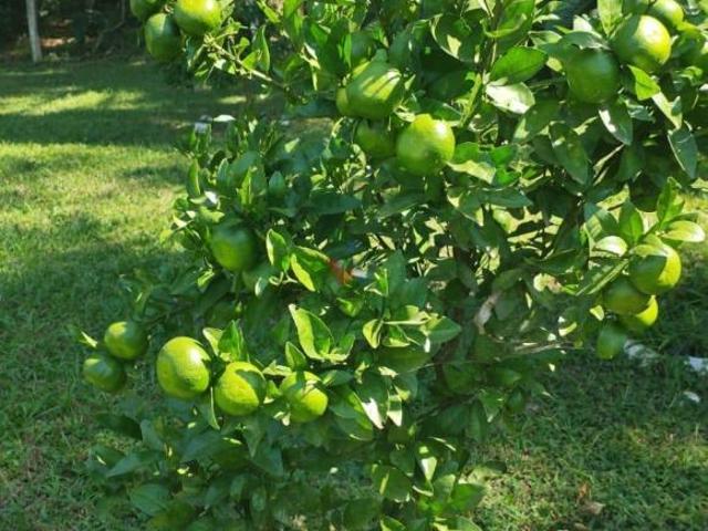 Chácara para venda em Campestre Da Faxina de 184.00m² com 3 Quartos, 1 Suite e 1 Garagem