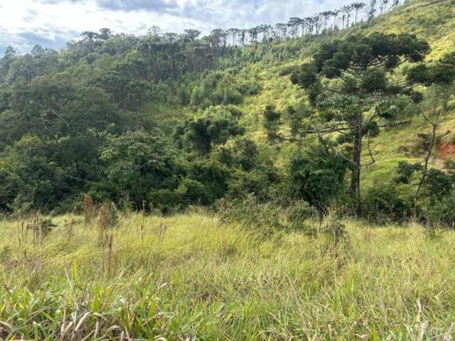 Chácara para Venda em Córrego do Bom Jesus