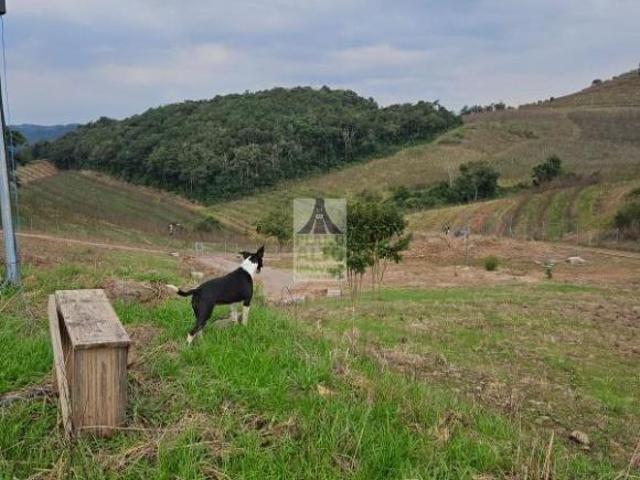 Chácara para venda em Caxias do Sul