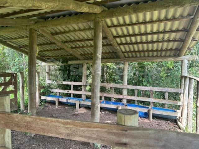 Chácara para Venda em Caçapava, Jardim Caçapava