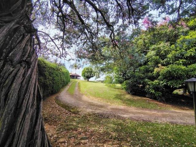 Chácara para venda em Caixa D´Água, Vinhedo