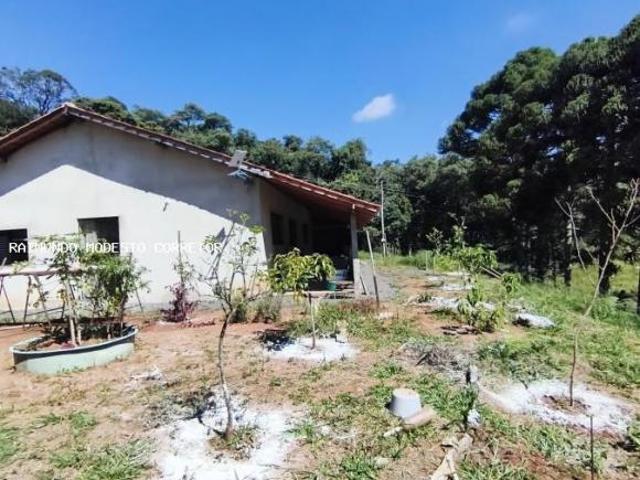 Chácara para Venda em Cambuí, Centro, 3 dormitórios, 1 suíte, 2 banheiros, 2 vagas