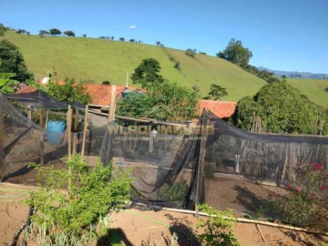 Chácara para Venda em Cambuí, 6km da cidade