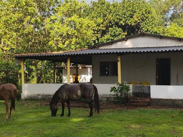 Chácara para Venda em Campo Grande, Água Limpa Park, 3 dormitórios, 2 banheiros, 5 vagas