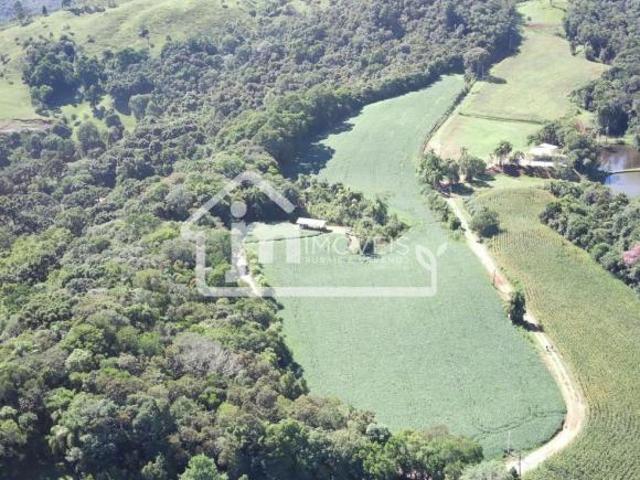 Chácara para Venda em Campo Largo, Bateias