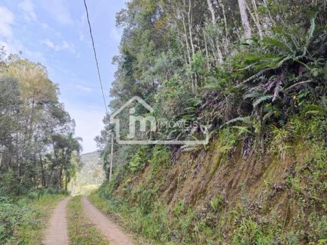 Chácara para Venda em Campo Largo, Guabiroba