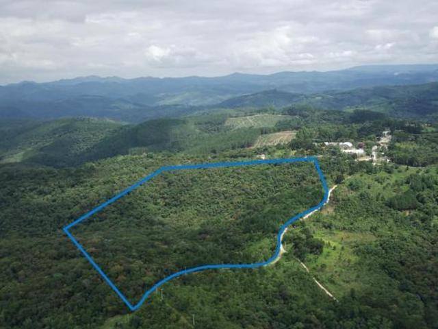 Chácara para Venda em Campo Largo, Três Córregos