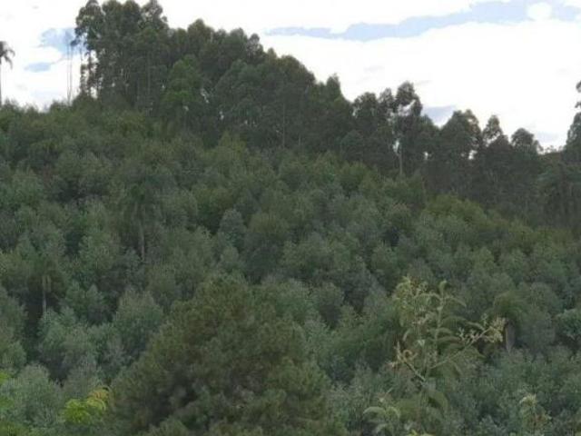 Chácara para venda em Campo Magro de 48400.00m² com 2 Quartos