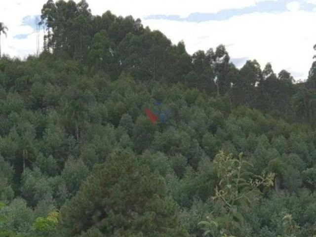 Chácara para venda em Campo Magro de 48400.00m² com 2 Quartos