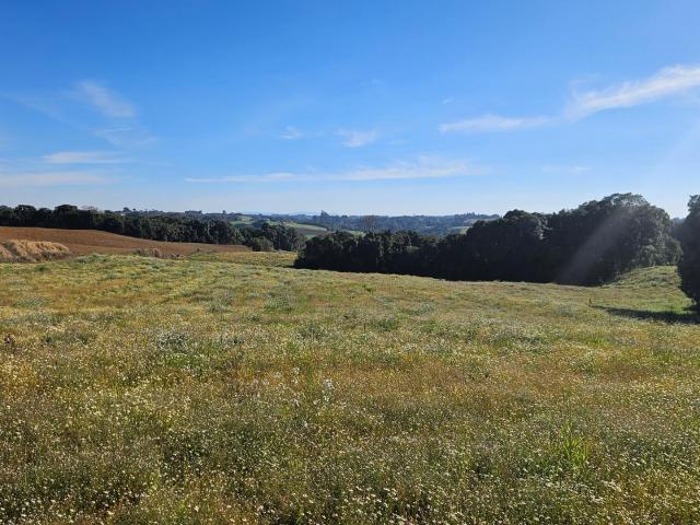 Chácara para venda em Campo Magro em Campo Magro Paraná de 48400.00m² com 1 Quarto