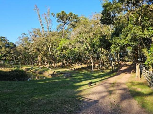 Chácara para venda em Campina Do Taquaral de 600.00m² com 3 Quartos, 1 Suite e 6 Garagens