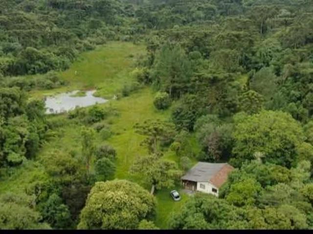 Chácara para Venda em Campina Grande do Sul, campina grande do Sul