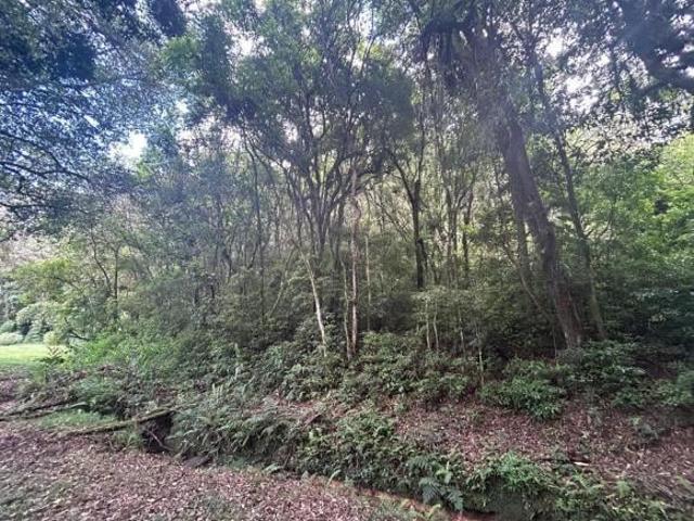 Chácara para Venda em Campina Grande do Sul, Taquari