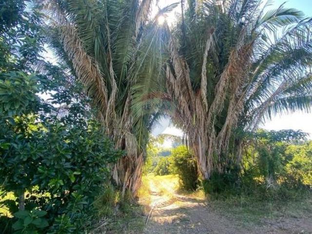Chácara para venda em Campinho de 150.00m² com 8 Quartos e 4 Garagens