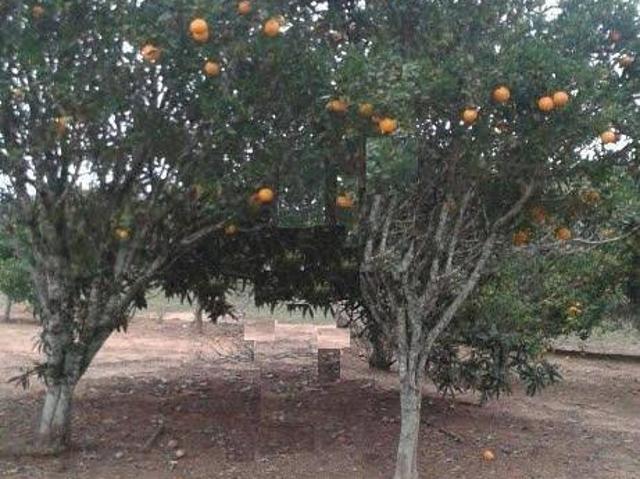 Chácara para venda em Capão Bonito