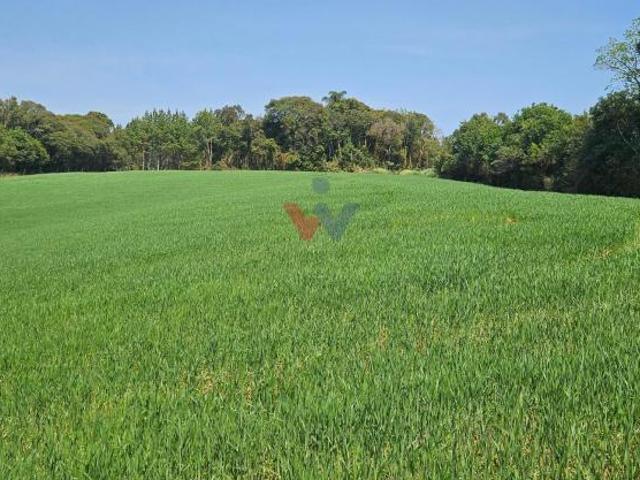 Chácara para venda em Capela Velha de 20000.00m² com 1 Quarto