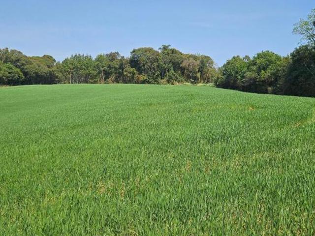 Chácara para venda em Capela Velha de 20000.00m² com 1 Quarto