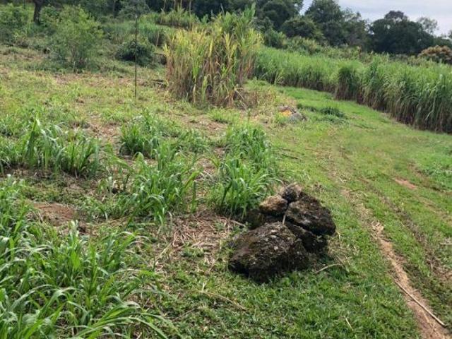 Chácara para venda em Capim Rasteiro Chácaras Campo Alegre