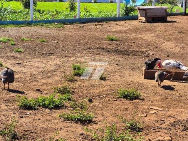 Chácara para venda em Cascavel