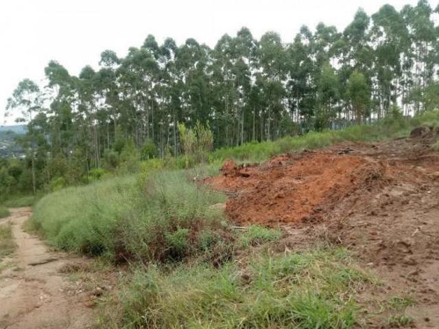 Chácara para venda em Centro, Mariana Pimentel