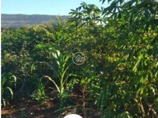 Chácara para venda em Centro, Montes Claros