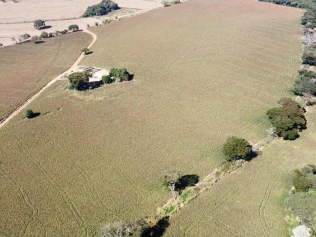 Sítio para venda em Centro, Nepomuceno