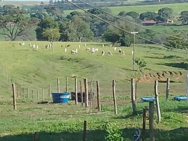 Chácara para venda em Centro, Adamantina