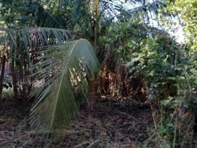 Chácara para venda em Centro, Antônio Dias