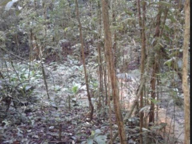 Chácara para venda em Centro, Bofete
