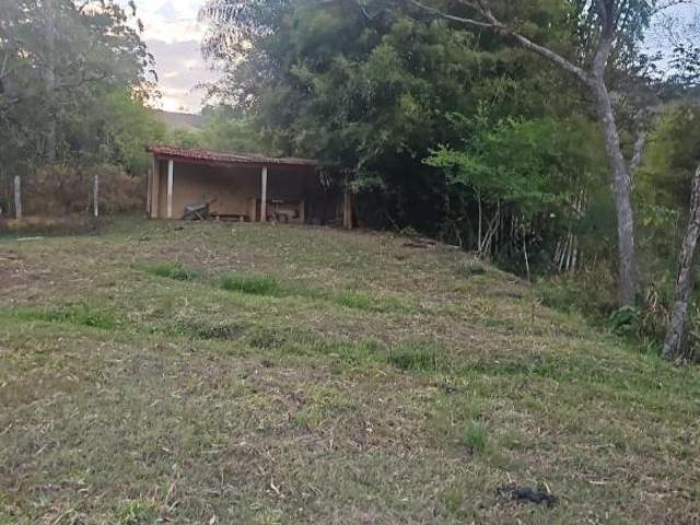 Fazenda para venda em Centro, Borda da Mata