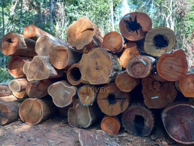 Fazenda para venda em Centro, Brasnorte