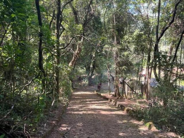 Fazenda para venda em Centro, Caeté