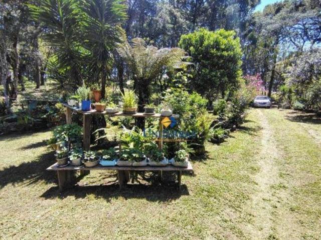 Chácara para venda em Centro, Campina Grande do Sul