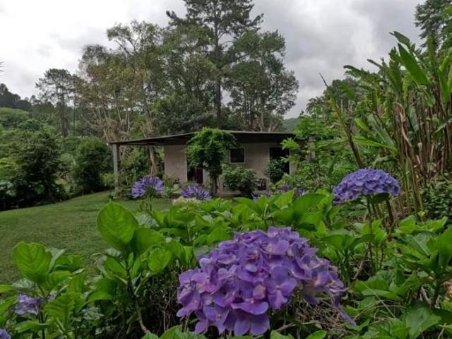 Chácara para venda em Centro Canguera, São Roque