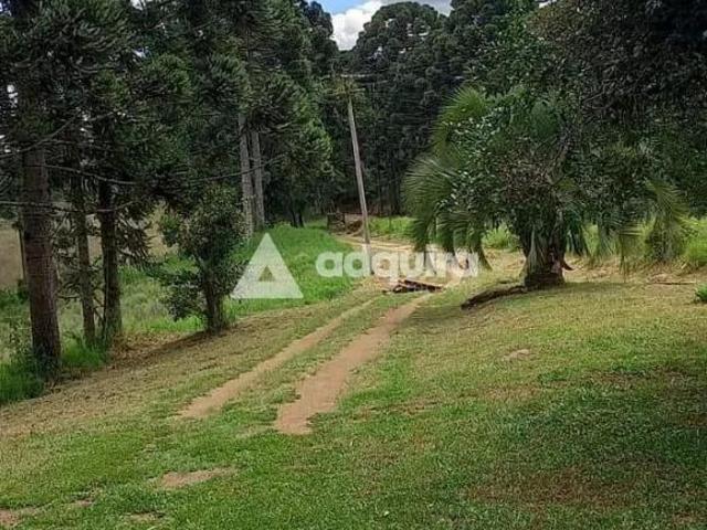 Chácara para venda em Centro, Carambeí