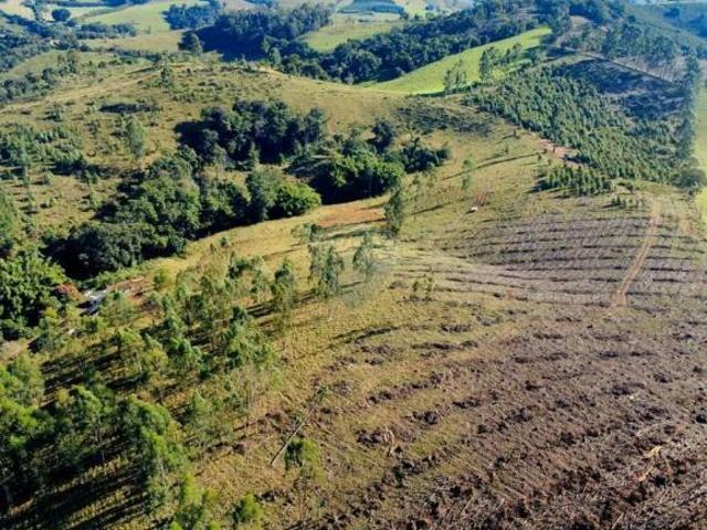 Chácara para venda em Centro de 91.00m² com 2 Quartos