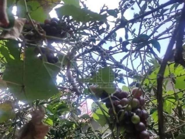 Chácara para venda em Centro, Embu Guaçu